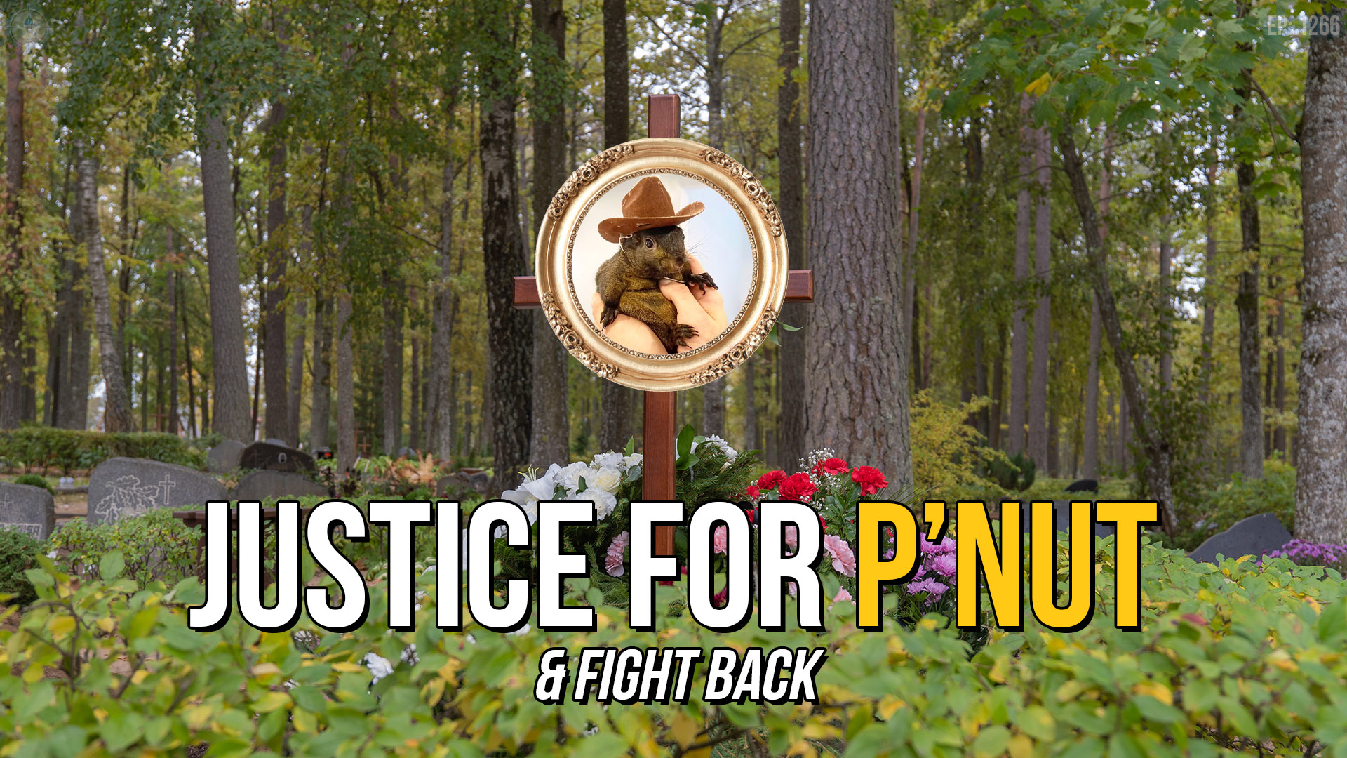 Justice for P’nut & Fight Back! | SOTG 1266